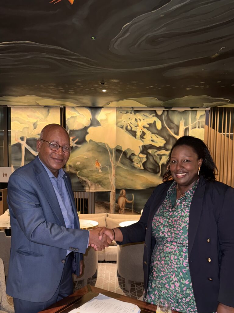 Guinea Chamber of Mines and Critical Minerals Africa Group Sign ...